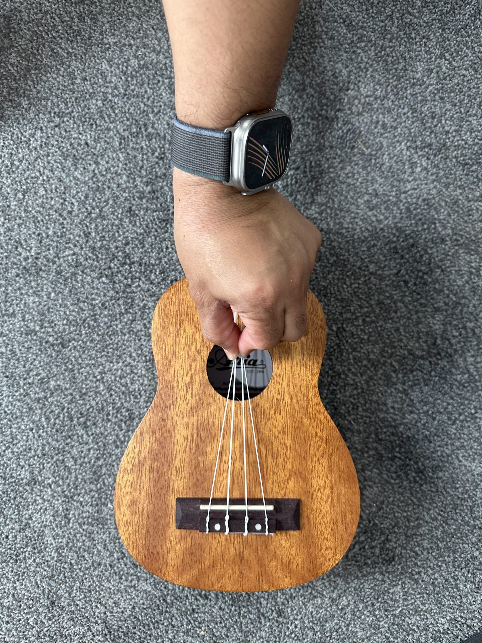 NZUT Coloured Dots System – New Zealand Ukulele Trust