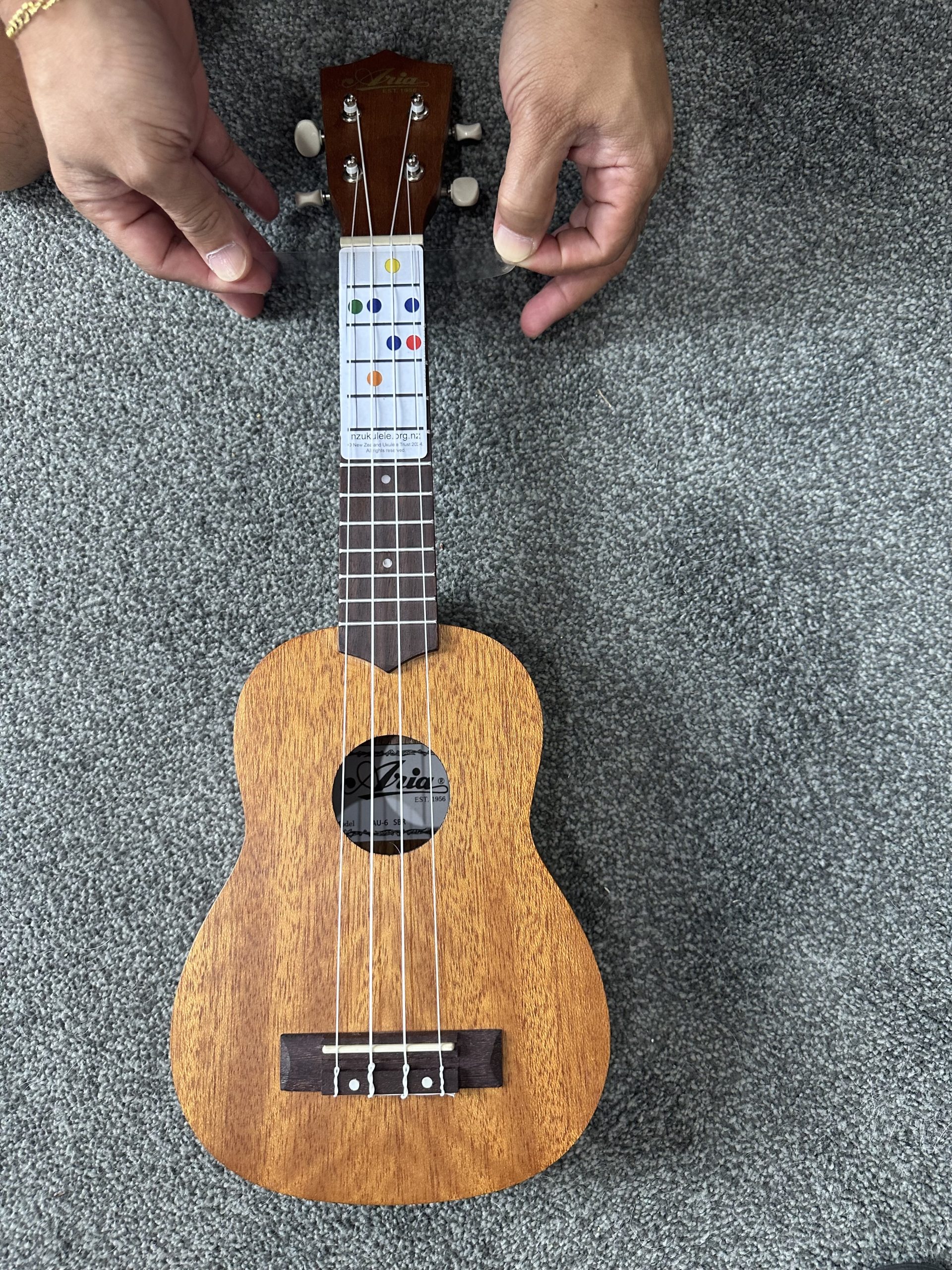 NZUT Coloured Dots System – New Zealand Ukulele Trust